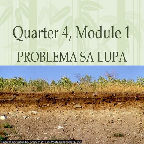Quarter 4, module 1 | PPT