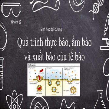 Qua trinh thuc bao, am bao va xuat bao cua te bao.ppt