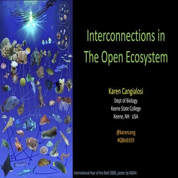 Interconnections in the Open Ecosystem | PPT | Free Download