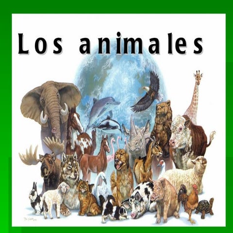 Qué comen los animales | PPT