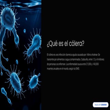 informacion sobre la pandemia de la colera | PDF