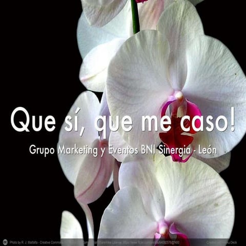 Que si que me caso! Proyecto del Grupo de Marketing y Eventos de BNI ...