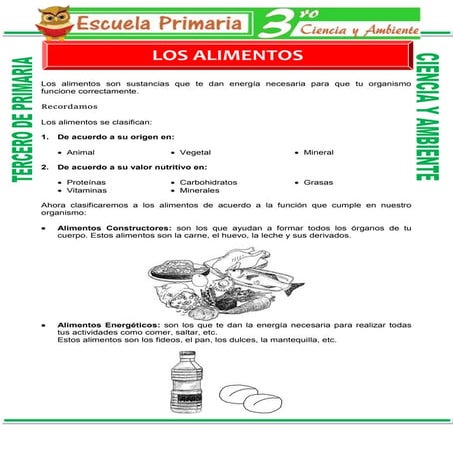 “Conocemos los alimentos según su función” FICHA.docx