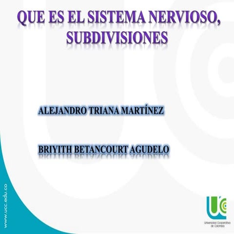 Que es el sistema nervioso, subdivisiones | PPTX