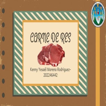 QUE ES LA CARNE DE RES.pptx
