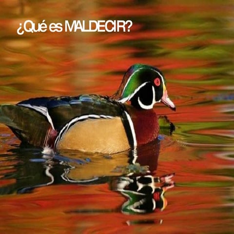 Que es maldecir | PPS