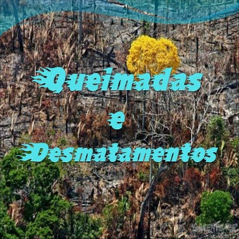 Queimadas e desmatamentos | PPT