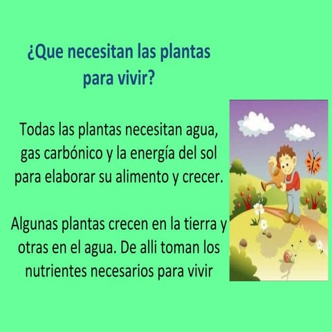 Que necesitan las plantas | PPT