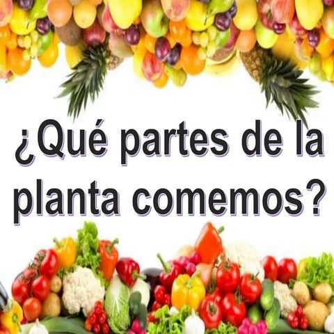 Partes Comestibles De La Planta Vida Saludable 4° Primaria, 40% OFF