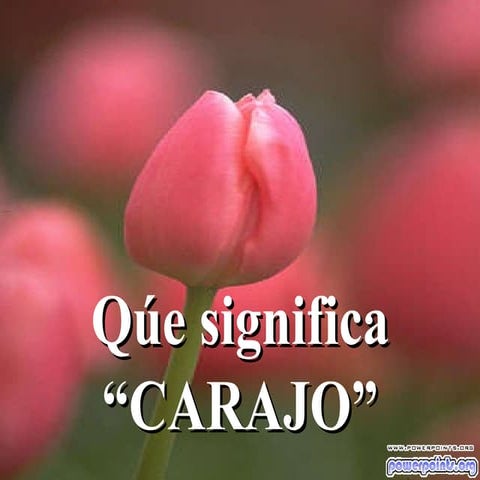 Que significa carajo | PPS