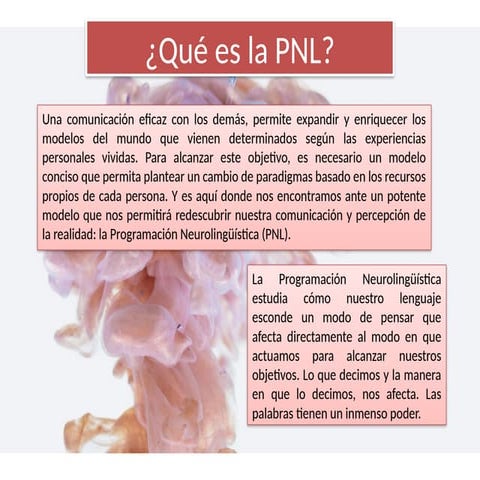 Qué es la PNL hipnosis que es la programación neurolinguistica- Andina ...