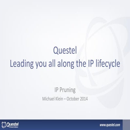 ICIC 2014 New Product Introduction Questel | PDF | Business | Business ...