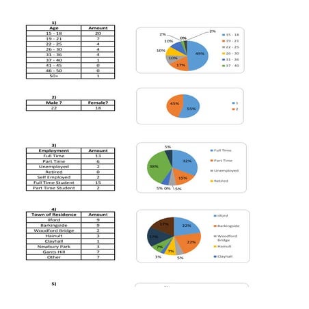 Questionnaire excel | PDF