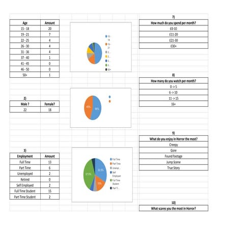 Questionnaire excel | PDF