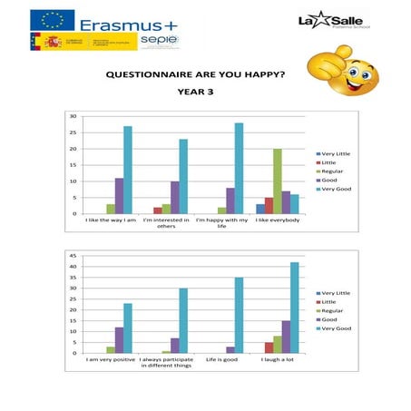 Questionnaire are you happy | PDF