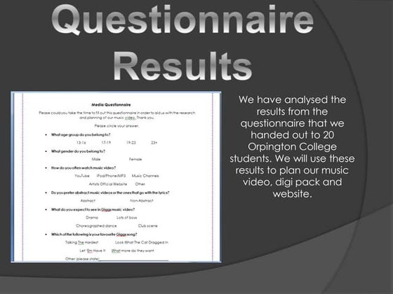 Questionnaire | PDF
