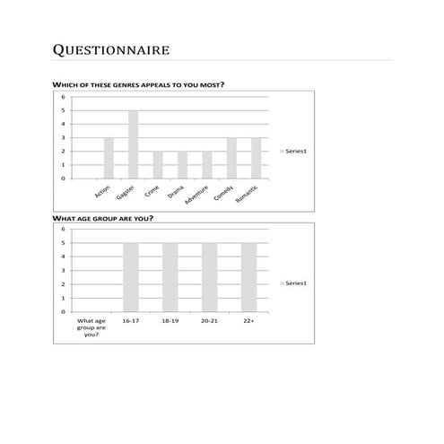 Questionnaire | DOCX