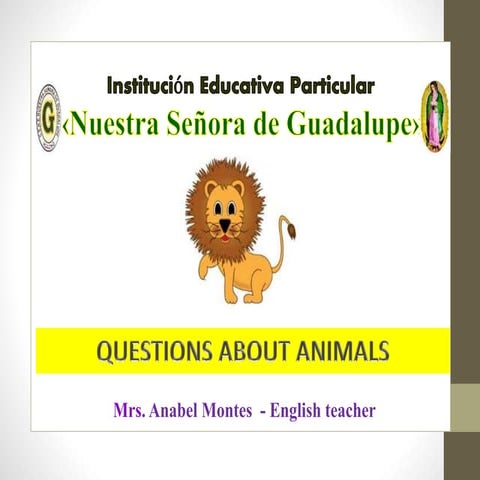 Questions about animals | PPTX