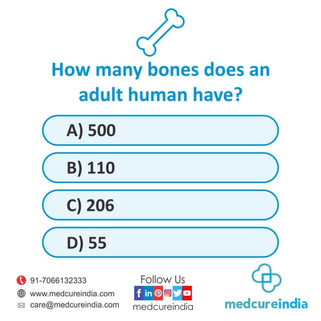 how-many-bones-does-an-adult-human-have