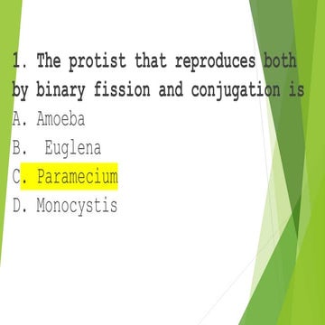 QUESTIONS FOR FUNGI AND PROTISTA under domain bacteria and domain ...