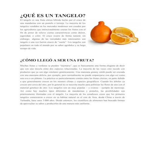 Qué es un tangelo | PDF