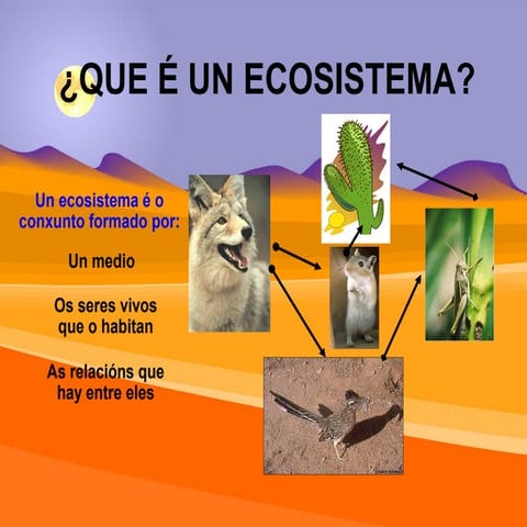 Que é un ecosistema | PPT