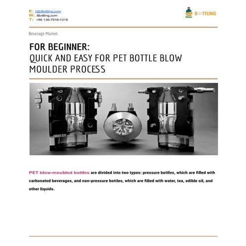 Quick and easy for pet bottle blow moulder process | PDF