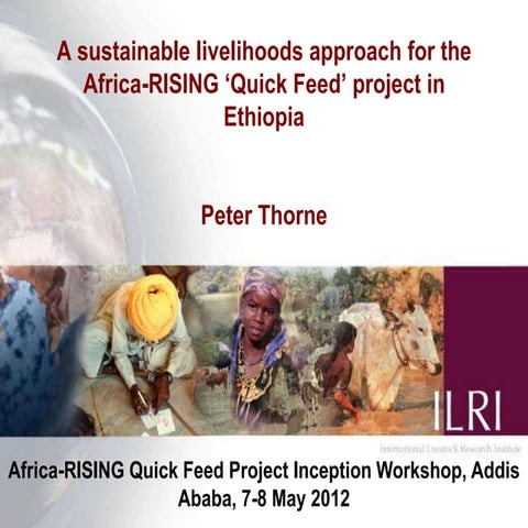 A sustainable livelihoods approach for the Africa-RISING ‘Quick Feed ...