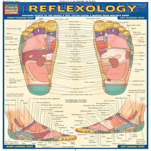 Quick study reflexology | PDF