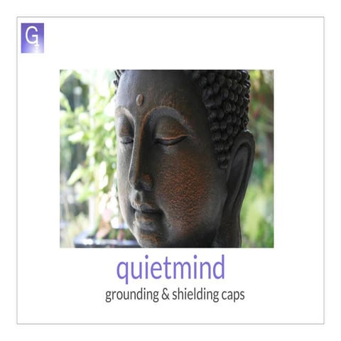 Quietmind 1 | PPT