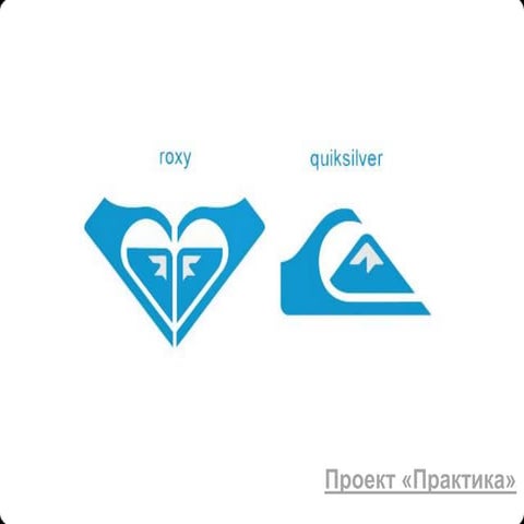 Quik Silver & Roxy | PPTX | Video Gaming