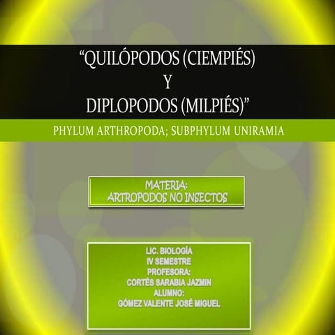 Quilópodos (ciempiés) y diplopodos (milpiés) | PPTX
