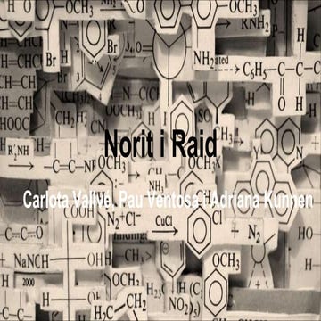 Norit & Raid | PPTX