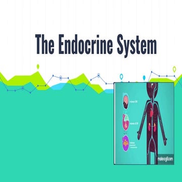 Coordinated Function of the Endocrine, Nervous, and Reproductive System | PPTX