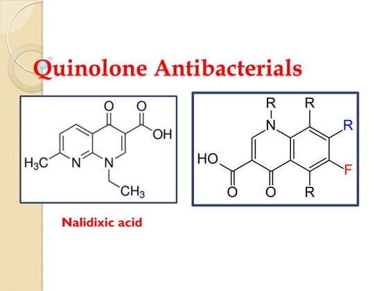 Quinolones and fluoroquinolones | PPT