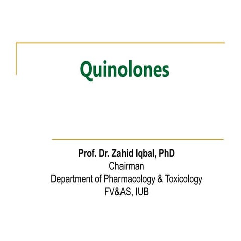 Quinolones Lec..pdf