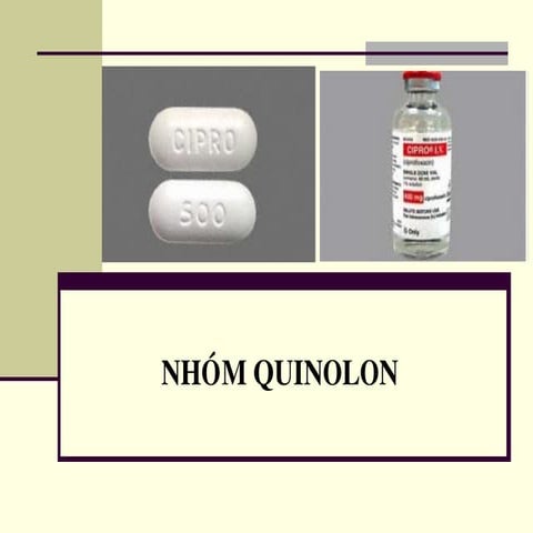 Pharmacology of Quinolone antibiotics - Dược lý kháng sinh nhóm ...
