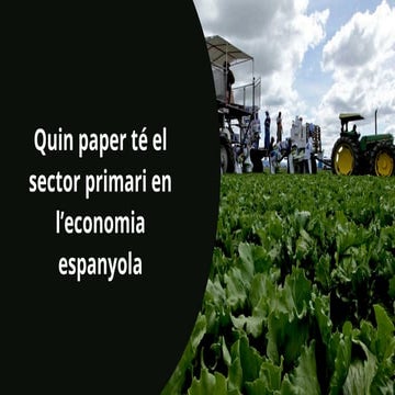Quin paper té el sector primari en l’economia espanyola.pdf