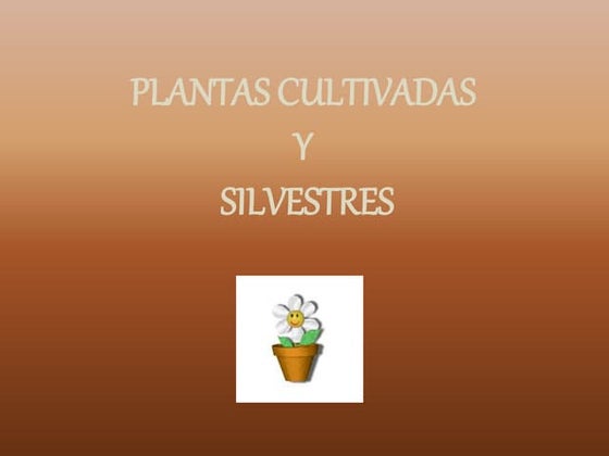 El mundo de las plantas | PDF