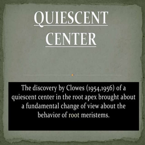 Quiscent center | PPTX