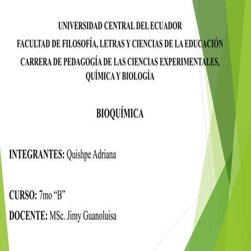 Quitina: Características, funciones y aplicaciones. | PPTX
