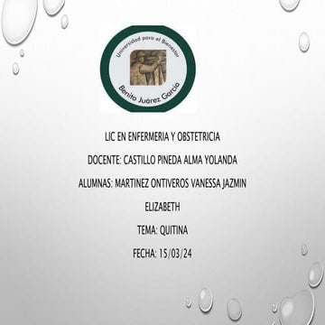 Quitina: Características, funciones y aplicaciones. | PPTX