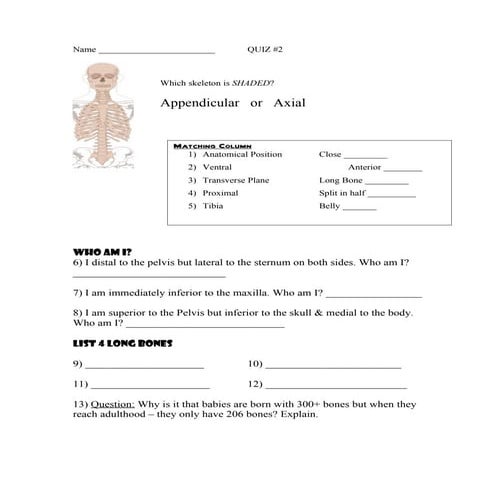 Quiz 2 anatomy physio | DOC