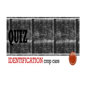 Understanding Climate Change, Its Causes, Impacts, and Global Solutions ...