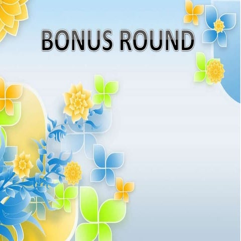 Quiz bonus round copy | PPT