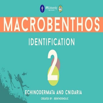 Quiz_Macrobenthos Identification 2 - Echinodermata and Cnidaria.pptx