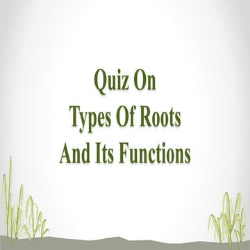 Quiz on types of roots and their Function | PPTX | Gardening | Home ...