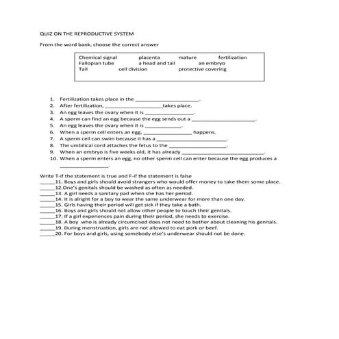 Quiz on the reproductive system | DOCX