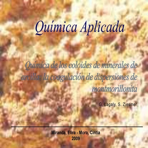 Química de los coloides de minerales de arcilla | PPT