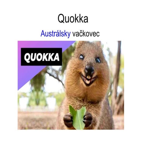 Quokka.ppt